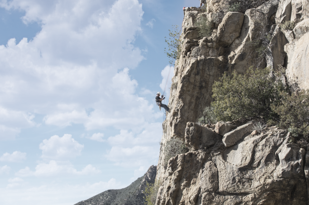 CLUTCH Multipurpose Tool